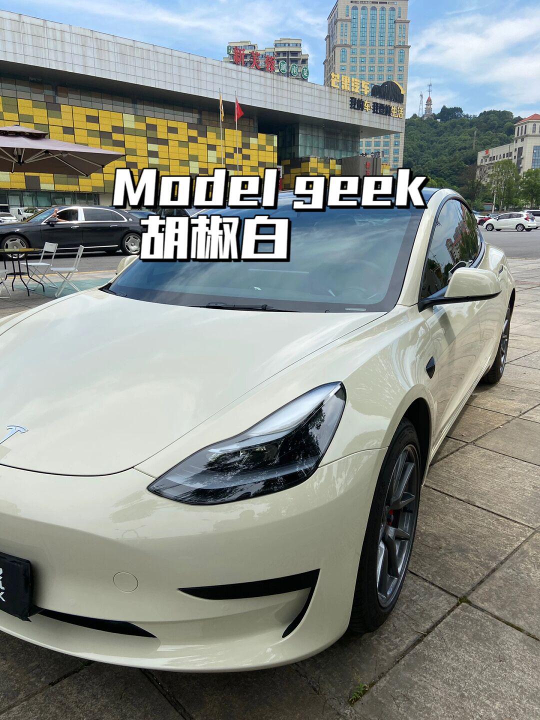 model3改色胡椒白颜值爆表毛豆玩家_Model 3社区_易车社区
